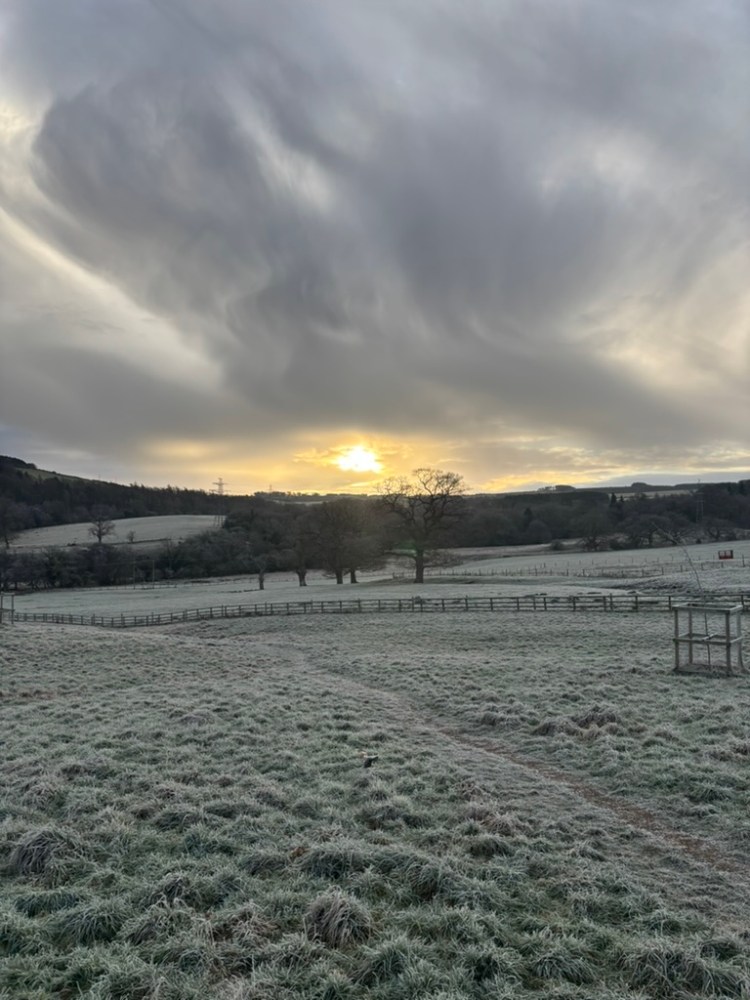 Wintering – Deborah Siddoway